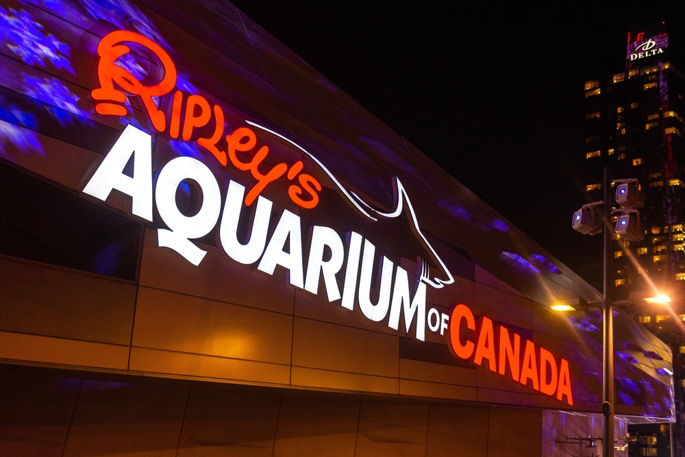 Visiting the Toronto Aquarium: What to Expect, Tips & Parking Guide ...